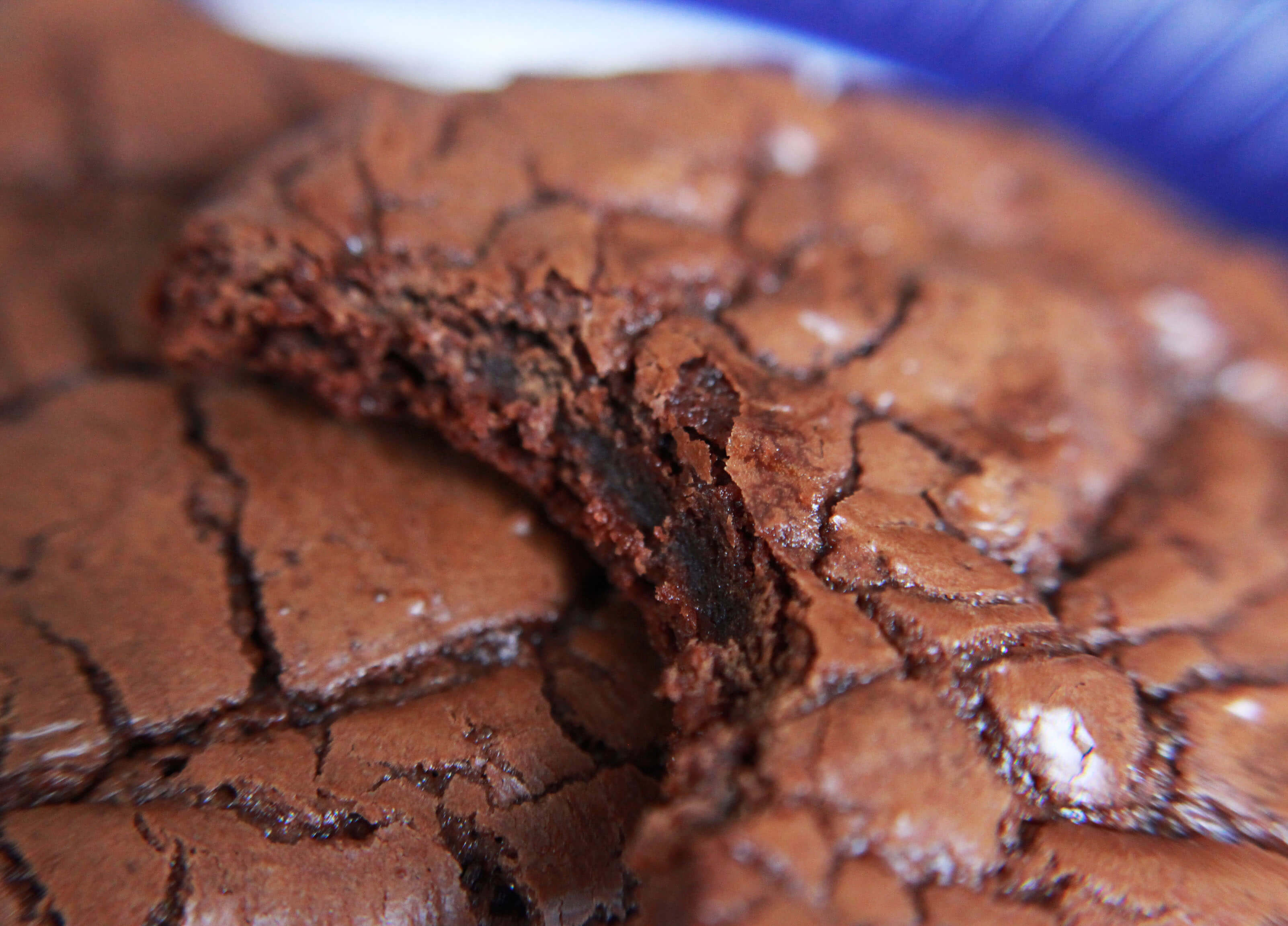 Esses Cookies de puro chocolate é tudo o que você precisa; prático ...