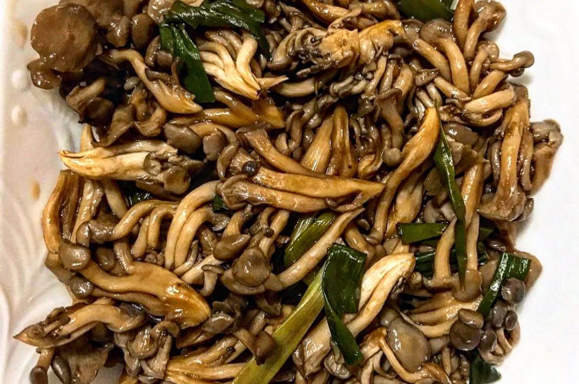 Receita de shimeji fácil para fazer em casa hoje mesmo